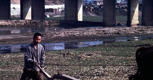 Global Developments | Substack