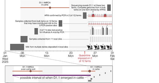 H5N1 Genotype D1.1: Understanding Its Evolution, Risks, and Public ...