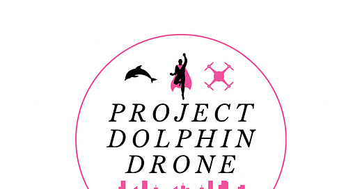 Project Dolphin Drone Pt.6: Liminal Layers