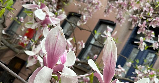 That's Marvelous! | Josh Gondelman | Substack