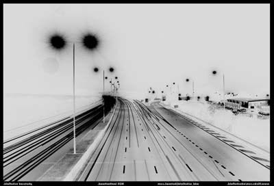 Societal Collapse: A literature review - The Back Loop