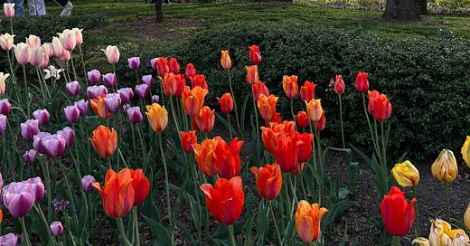 Small Pleasures | Sandy Sanchez | Substack