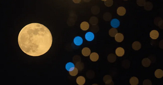 Sara's Fun Facts | Substack