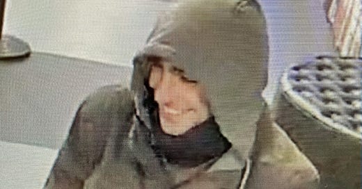 Pimlico Journal | Substack