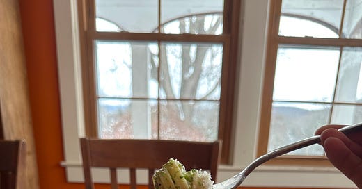 The River House | Samantha Demarkles | Substack