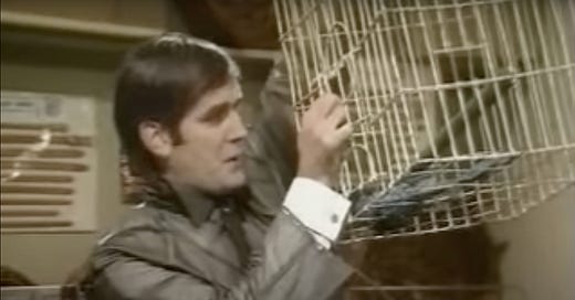 Inference | Substack