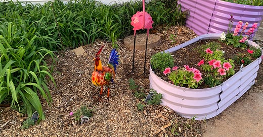 Cedar’s Substack | Cedar Sanderson | Substack