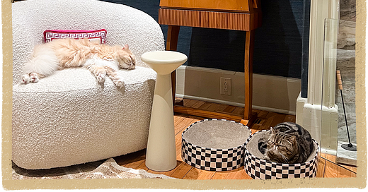 Scratch Pad by The Stripe | Grace Atwood | Substack