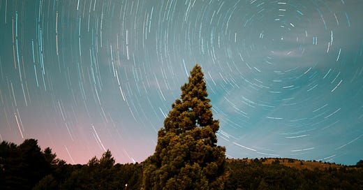 The Cholent | Emily Alhadeff | Substack