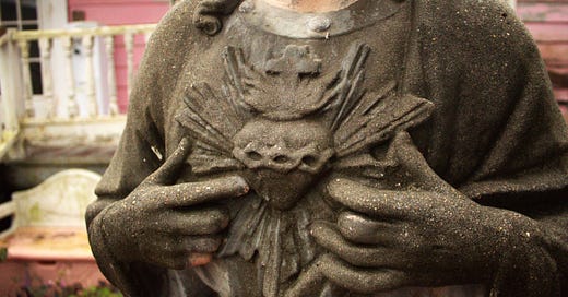 Rooted Magazine | Lauren Rhoades | Substack