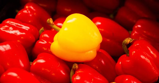 The Biostasis Standard | Biostasis Technologies | Substack