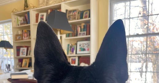 J.F. Riordan; Reflections on a Life in Exile | J. F. Riordan | Substack