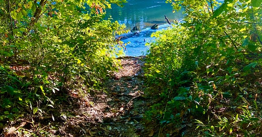 The Half Marathoner | Terrell Johnson | Substack