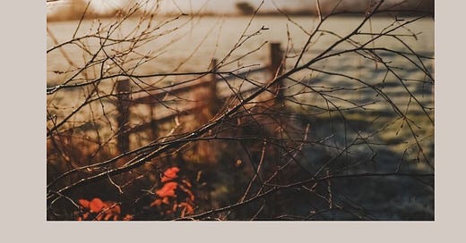 Walk the earth, Watch the sky | Cathy | Substack