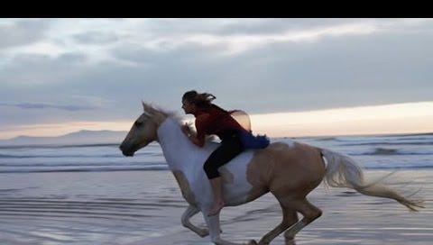 Archedelia | Matthew B. Crawford | Substack