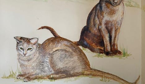 Roger Waters | Substack