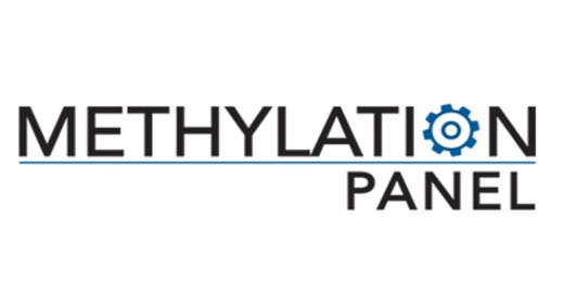 Interpreting the Genova Methylation Panel