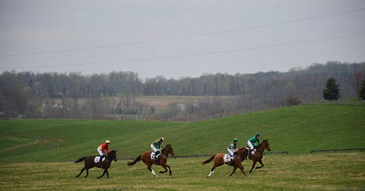 Born of Wonder | Katie Marquette | Substack