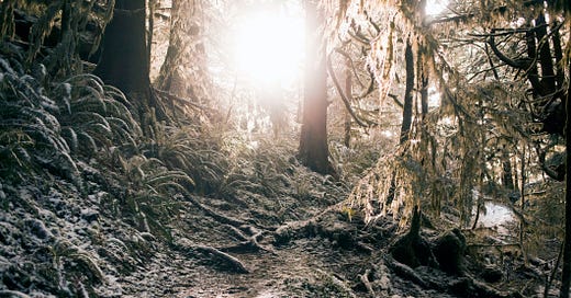 TRANSFORM with Marianne Williamson | Substack