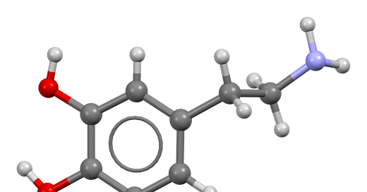 Polypharmacy | Nils Wendel, MD | Substack