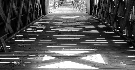 Meghan O'Rourke's Substack | Substack