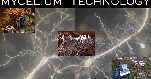 FM8’s Substack | Substack