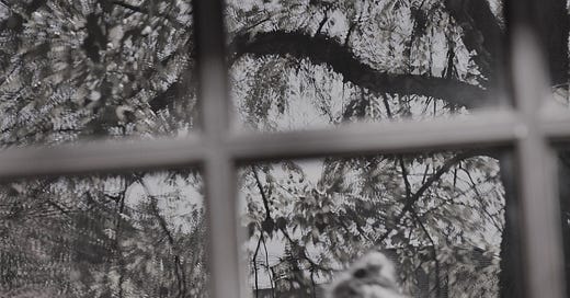 Trilogy | Barbara Mullen | Substack