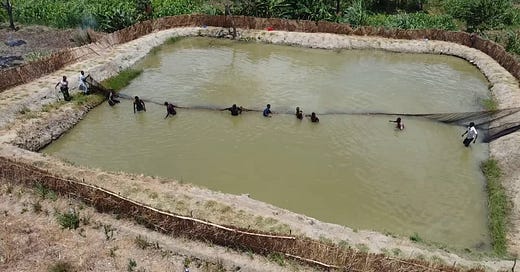 AfricaBrief | Winston Mwale | Substack