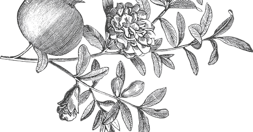 Signs + Seasons | Kristin Haakenson | Substack