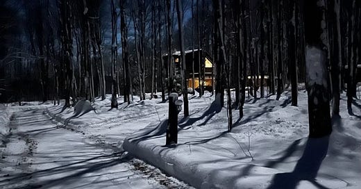 Books I Love | Claire Cameron | Substack