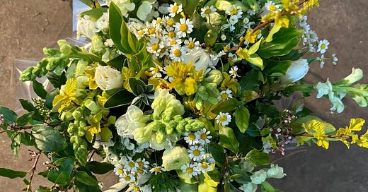 Common Farm Flowers by Georgie Newbery | Substack