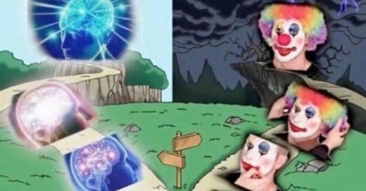 SPACIES | Michelle Pellizzon Lipsitz | Substack