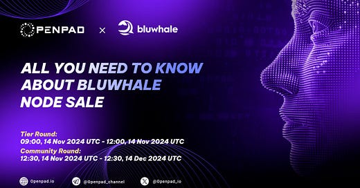 ALL YOU NEED TO KNOW ABOUT BLUWHALE NODE SALE