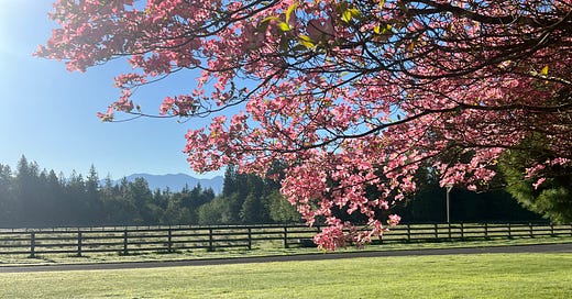 Madison Spain Club | Blakely Spoor | Substack