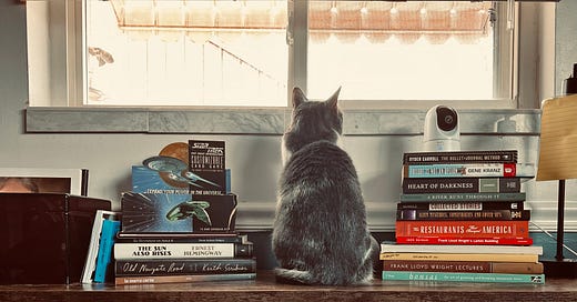 Closely Reading | haley larsen, phd | Substack