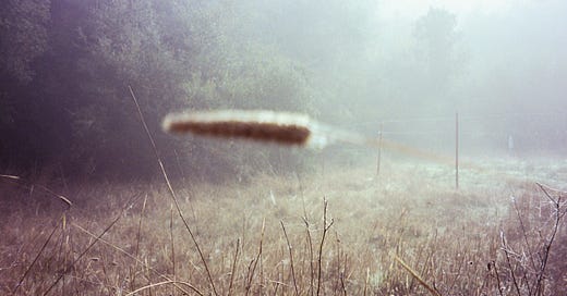 Human Stuff | Lisa Olivera | Substack