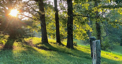 Coming Down to Earth with Barbara Brown Taylor | Substack