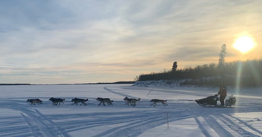 DOGE Alaska launches to find waste, fraud, and abuse in public funds in ...