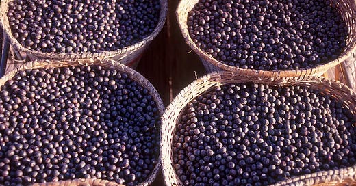 Direto ao Ponto | Fabio Alperowitch | Fabio Alperowitch, CFA | Substack