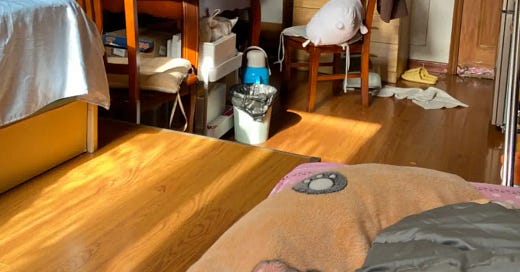 Ginger River Review | Jiang Jiang | Substack