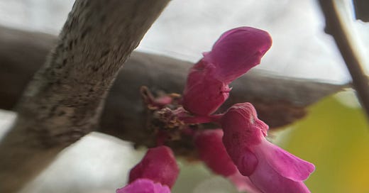 方舟子Shimin’s Substack | 方舟子Shimin Fang | Substack