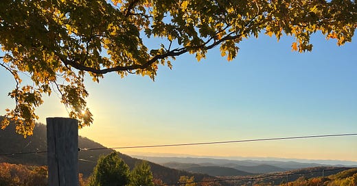 House of Green | Alexandra Fasulo | Substack