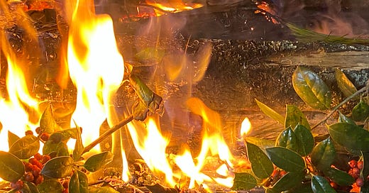 Coming Down to Earth with Barbara Brown Taylor | Substack