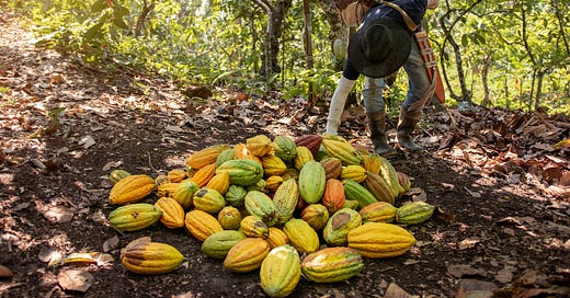 AyiboPost | Substack