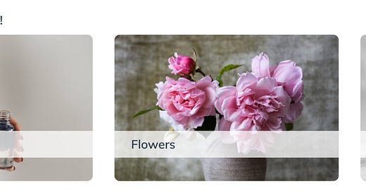 Bryce Gruber’s Sharing Opps | Substack