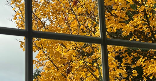 Craving Aversion | Michael Zhao | Substack