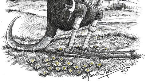 The Morning Claret | Simon J Woolf | Substack