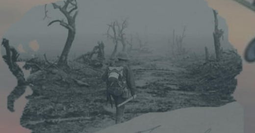 The Seaboard Review | Substack