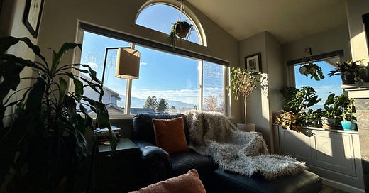 The Privilege to Feel | Stephanie Land | Substack