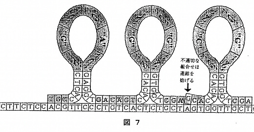 ASeq Newsletter | Nava Whiteford | Substack